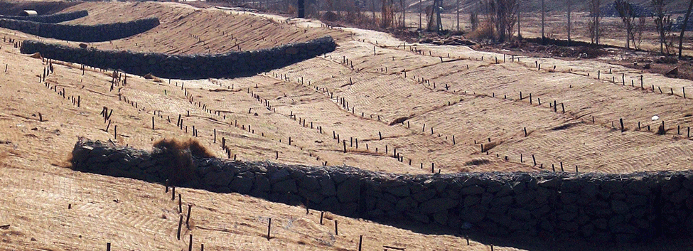 East Coast Erosion Control • Erosion Blankets • Sediment Control • T-Recs
