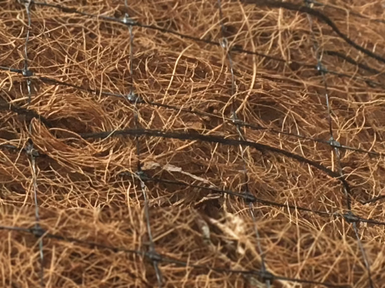 ECC-3 - East Coast Erosion Control